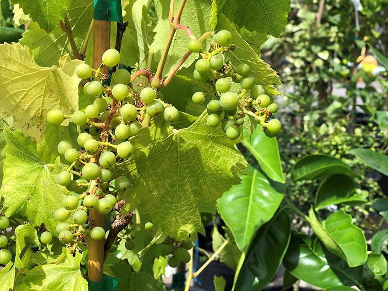 Look Inside Our Store